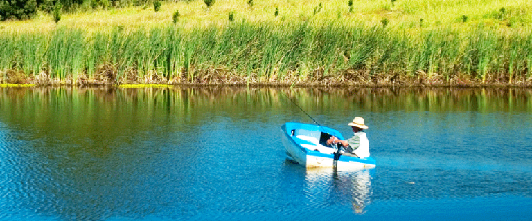 10 Amazing Farm Stays in the Western Cape - Holidays + Kids